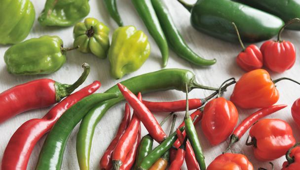 10 Best Foods That Cut Fat from Body, Make You Smart