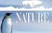 Top 10 Highest Rated Wildlife Documentaries