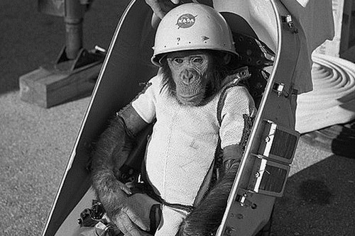 Top 10 Historically Famous Animals - Wonderslist