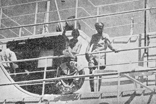 10 Incredible Stories of Survival in Extreme Situations