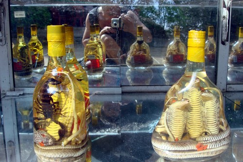 15 Most Bizarre Drinks Developed from Natural Ingredients