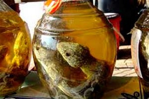 15 Most Bizarre Drinks Developed from Natural Ingredients