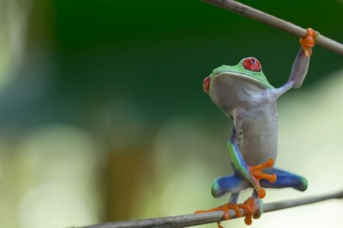 10 Camping Pranks That Bring a Lot of Fun Outdoors