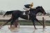 10 Best Race Horses of All Time - Greatest Thoroughbreds