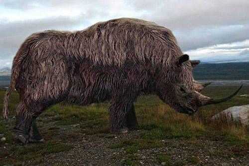 Top 10 Animals that Scientists want to de-extinct, back from extinction