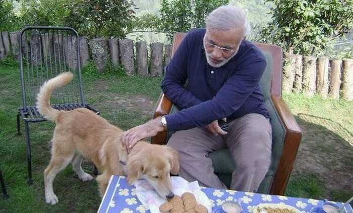 Famous World Leaders and Their Pets - See who pets whom