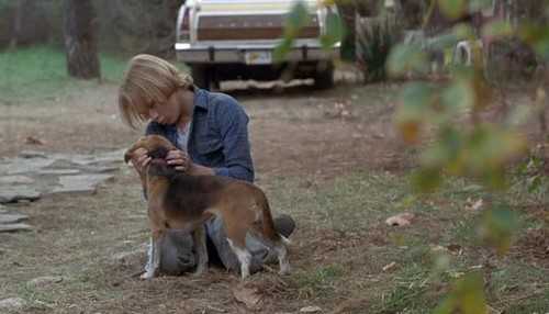 Classic Animal Movies with Moral Lessons - Top 10 Movies